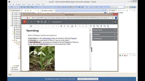 webinar oxygen xml editor 17 xml authoring on the web youtube