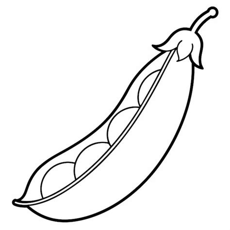 Premium Vector Pea Line Art Vector Outline