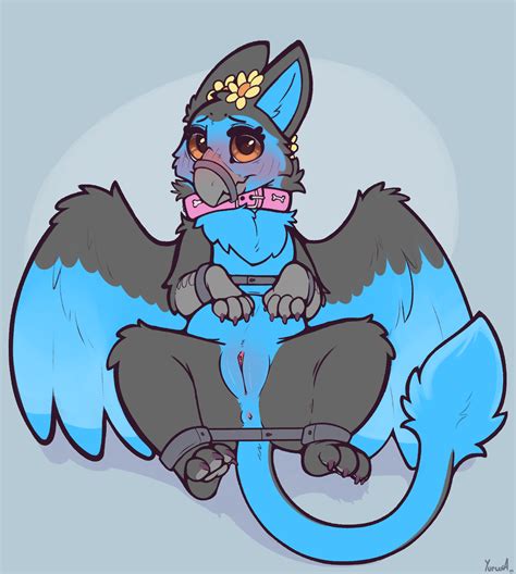 Rule 34 2024 Ankles Tied Anthro Anus Avian Blush Bondage Bound Claws
