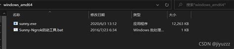 Ngrok的使用（通过外网访问本地web）本地代码通过公网访问 Ngrok Csdn博客