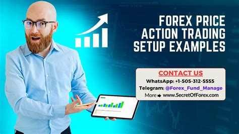 Forex Price Action Trading Setup Examples