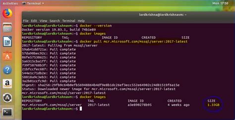 Sql Server 2017 Docker Container And Web Api In Net Core In Ubuntu 1804