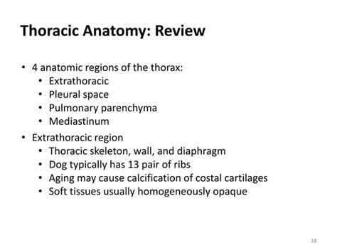 Thorax Ppt
