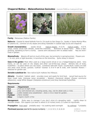 Malacothamnus Fasculatus Pdf