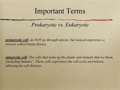What Is Mitosis We As Humans Dont Start Out Life As A Hundred