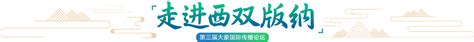 第三届大象国际传播论坛 新华网
