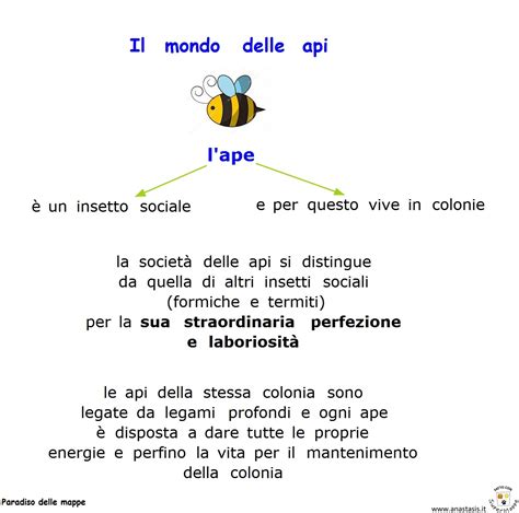 Paradiso Delle Mappe Il Mondo Delle Api