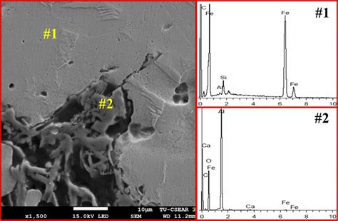 Sem Micrograph And Eds Spectra Of The Cross Sectioned Pellet C O 1