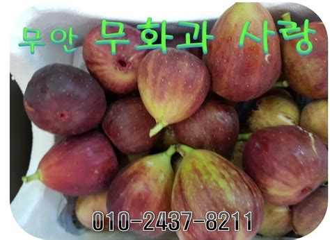 무화과 직거래 무안 빨간 양파즙 양파사랑