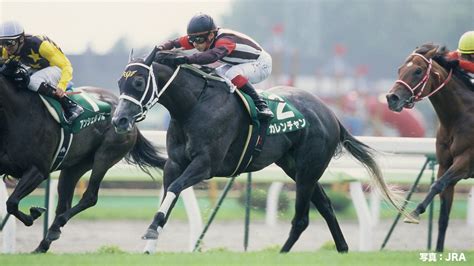 Jra Fun On Twitter 今週末は、函館スプリントステークスgiii。 夏の始まりを告げるサマースプリントシリーズ開幕戦