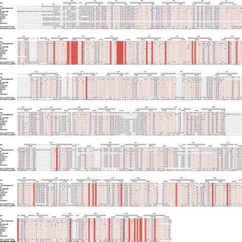 Mms19 Sequence Alignment Used To Map Evolutionary Conservation In Fig 2b Download Scientific
