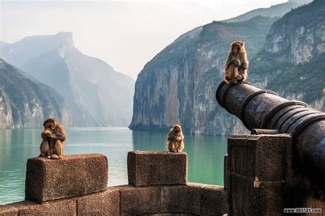 白帝城·瞿塘峡景区 中国旅游资讯网365135com