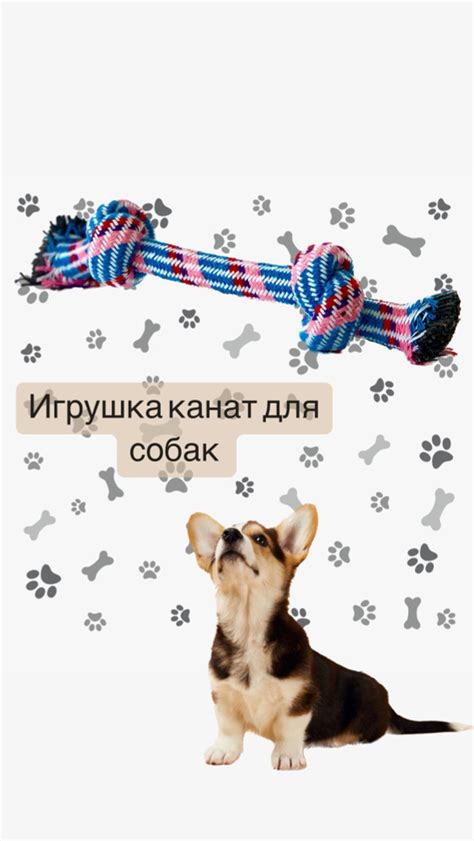 Игрушка Канат для собак - купить с доставкой по выгодным ценам в ...