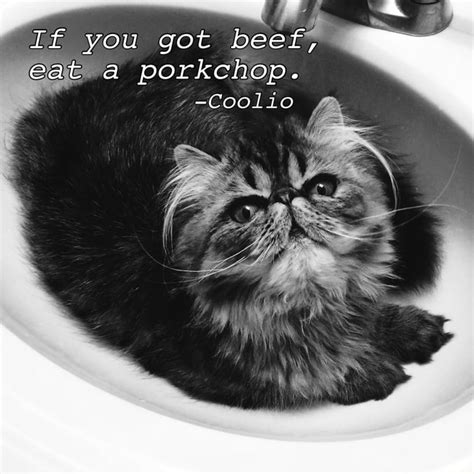 Rap Cats If You Got Beef Eat Aa Porkchop Coolio Ifunny