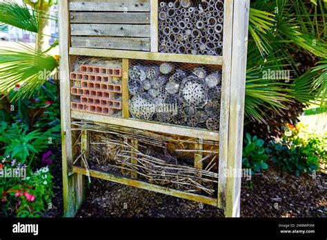 Insect Wooden House Bug Wood Hotel Hut Ladybird Bee Home To Butterfly