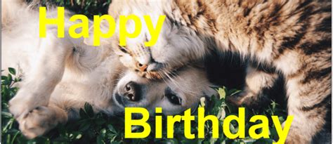 Hur Man Konverterar En Pdf Fil Till Ett Microsoft Word Dokument