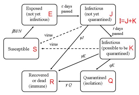 Flow Chart Of A Delayed Seiqr Model Download Scientific Diagram
