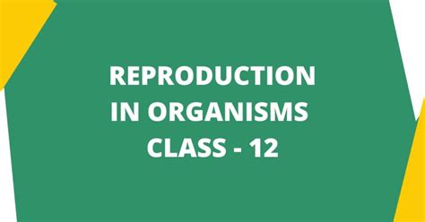 Reproduction In Organisms Class 12 Biology MCQs Questions With Answers
