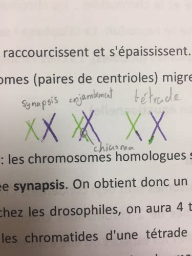 Chapitre Flashcards Quizlet