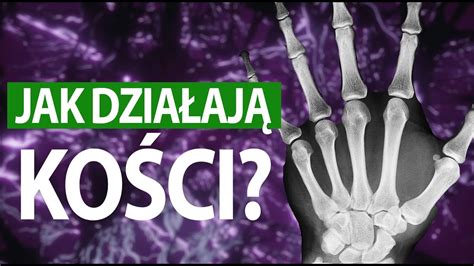Jak Działa Człowiek KoŚci Tłumaczenie Pjm Youtube