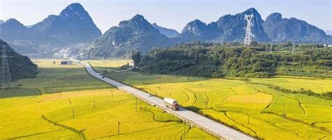 百色公路发展中心开展干部队伍建设调研工作崔浩冉领导情况