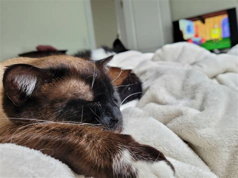 Sunday Morning R Spongebob