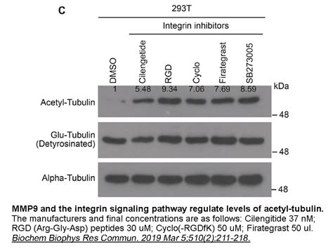 Cilengitide Integrin V3 V5 Inhibitor Apexbio