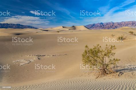 모래 언덕 메스키트 모래 언덕 데스 밸리 캘리포니아 모래에 잔물결 패턴 상승의 상단에 식물 배경에 있는 산 위의 푸른 하늘과 구름 0명에 대한 스톡 사진 및 기타 이미지