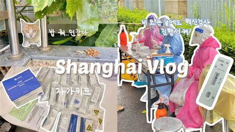 中文【상하이 브이로그】 봉쇄 D55 지치는 봉쇄생활 속 맛있는 거 해먹는 일상🍲 난 아직도 봉쇄중😷｜잡채 훠궈 버섯튀김 마라롱샤🦞 Youtube