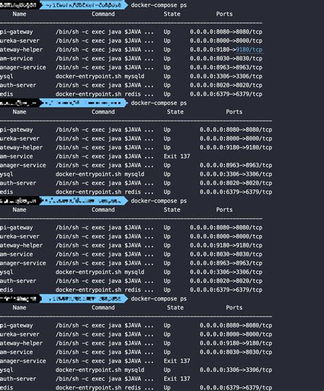 用docker Compose搭建本地调试环境碰到的问题 Choerodon Framework 汉得开放论坛