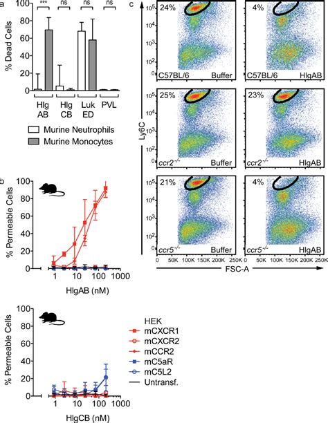Figure 1 From The Staphylococcal Toxins Γ Hemolysin Ab And Cb Differentially Target Phagocytes