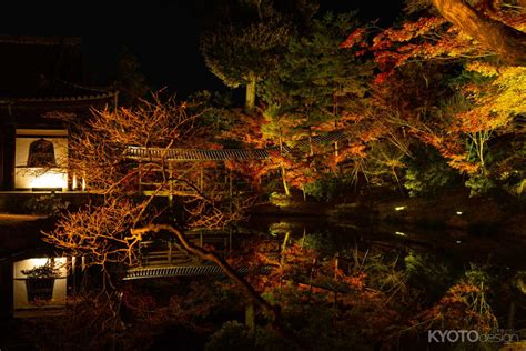 高台寺 秋の特別拝観・ライトアップ イベント・行事 京都観光情報 Kyotodesign