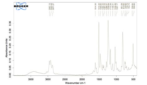 Solved Experiment Synthesis Of Alkyl Para Tolyl Ether