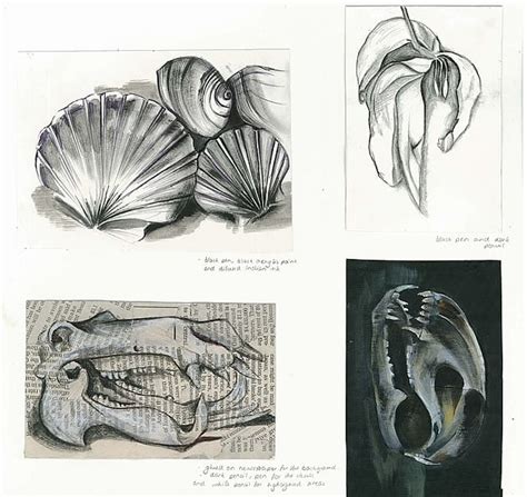 How To Approach The Igcse Art Exam Observational Interpretative Assignment