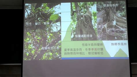 基礎生物 6 3 陸域與水域生態系~ Youtube