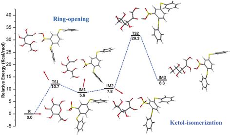 The Computed Gibbs Free Energy Profile Of Intermediates And Transition