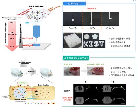 Startup 주 넥스젤바이오텍