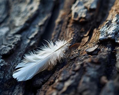Premium Photo A White Feather Resting On A Piece Of Wood