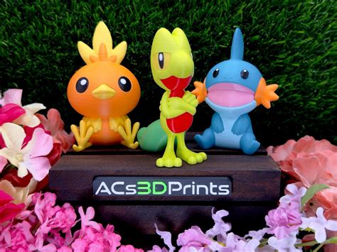 Gen 3 Starters Mudkip Torchic And Treecko Full Colored 3d Printe