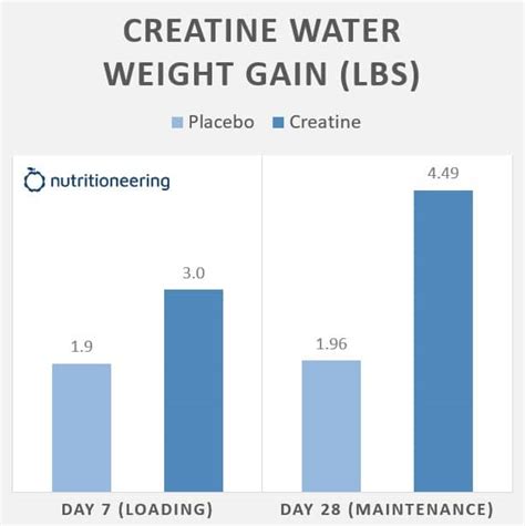 Does Creatine Make You Gain Weight Body Composition Analysis