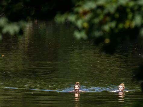 Girl Pukes In Pond