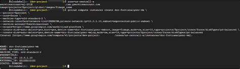 deploying a fortianalyzer vm instance fortianalyzer public cloud 7 4