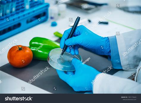 Food Microbiology Images Stock Photos Vectors Shutterstock