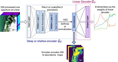 A Schematic Of A General Unmixing Autoencoder The Figure Shows An
