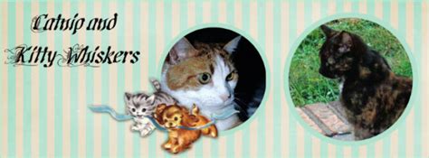 Catnip And Kitty Whiskers