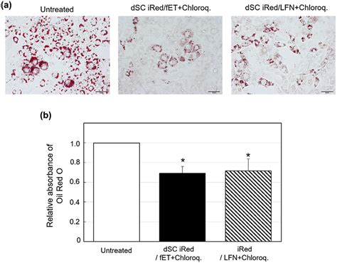 Effect On Lipid Accumulation In 3t3 L1 Adipocytes Following