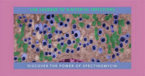 Premium Ai Image Spectinomycin