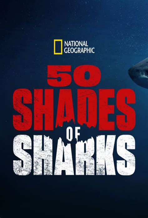 50 Shades Of Sharks