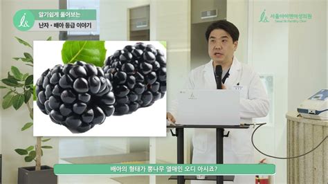 서울아이앤여성의원 심상우 부장알기쉽게 풀어보는 난자배아 등급 이야기 2편 Youtube