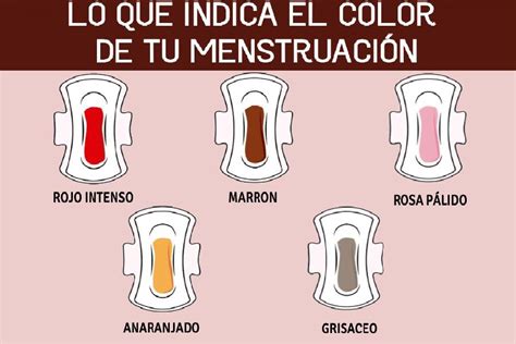 10 datos sorprendentes sobre la duración de la menstruación Cuántos